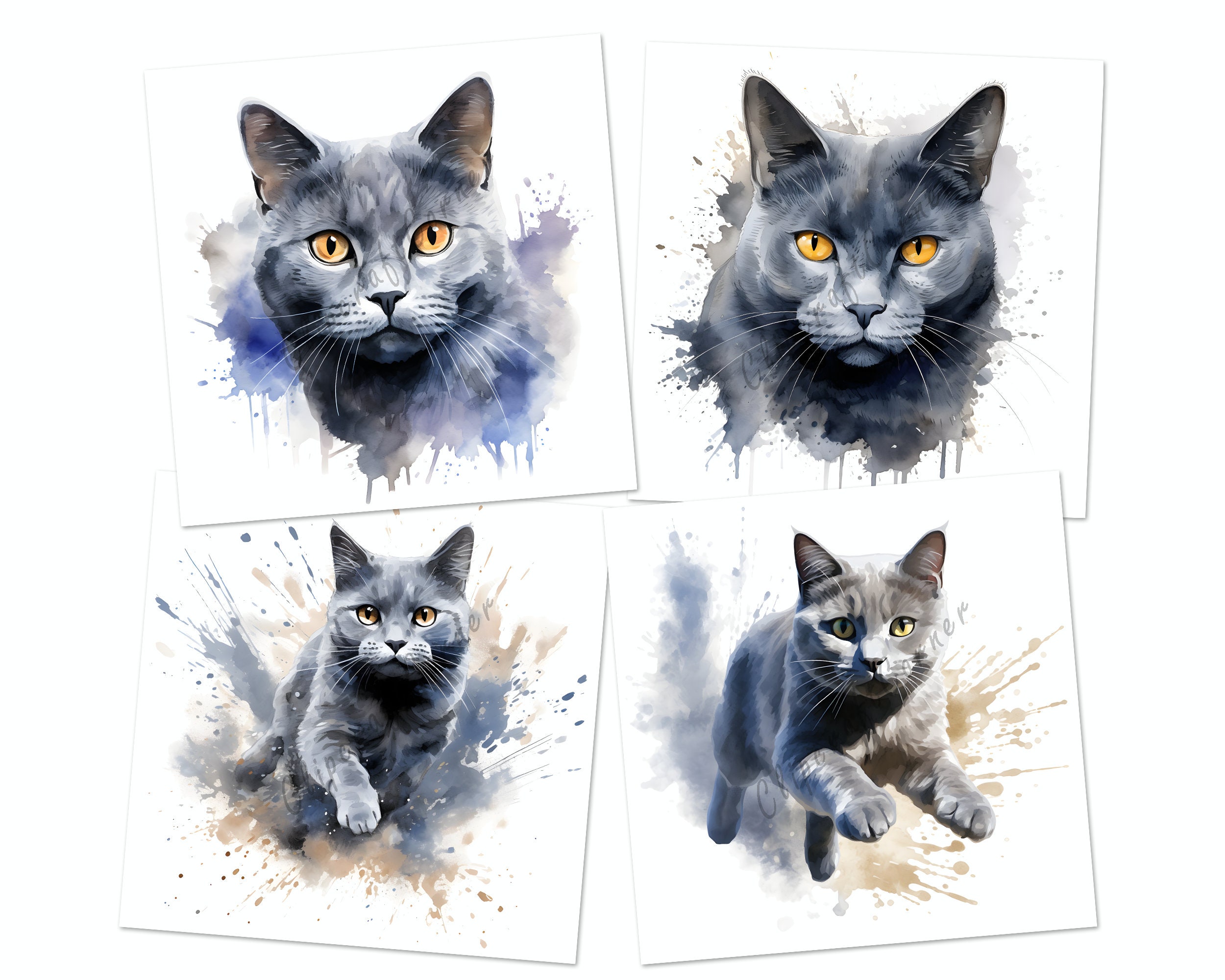 12 Chartreux Cat Clipart PNG Bundle | Cute Watercolor Cat Clipart PNG ...