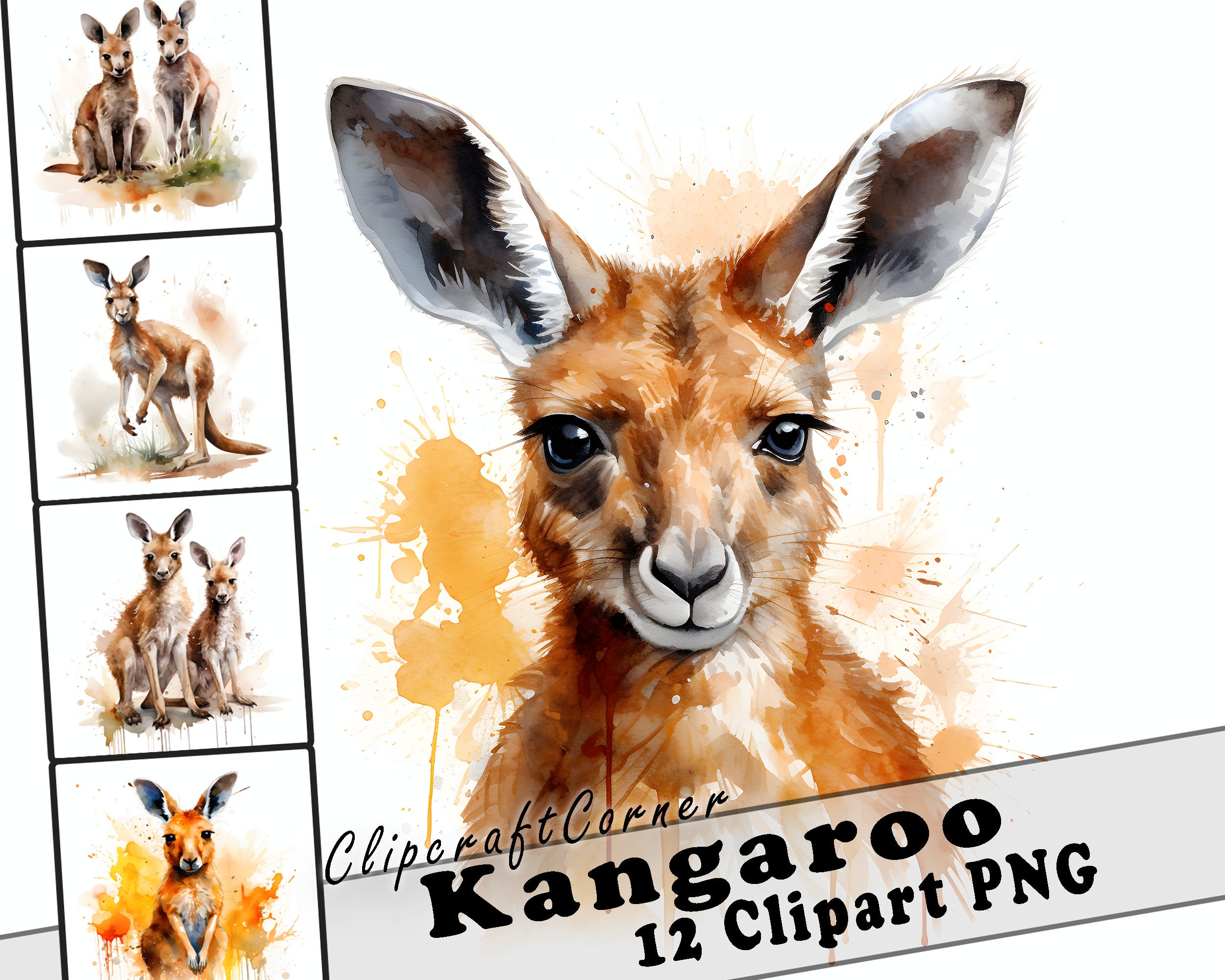 12 Kangaroo Clipart PNG Forest Animal Bundle Watercolor Kangaroo ...