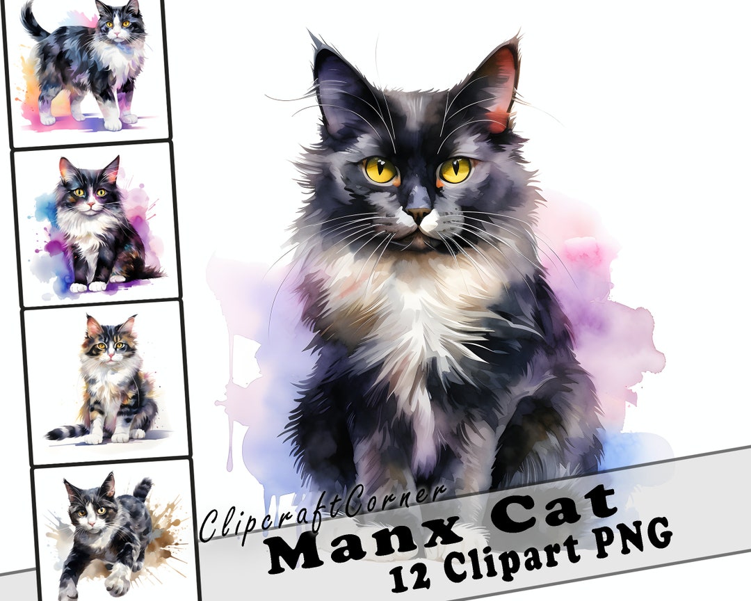 12 Manx Cat Clipart PNG Bundle | Cute Watercolor Cat Clipart PNG | 530 ...
