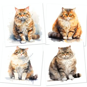 20 Fat Cats Clipart PNG Bundle | Cute Watercolor Fat Cat Clipart PNG ...