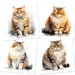20 Fat Cats Clipart PNG Bundle | Cute Watercolor Fat Cat Clipart PNG ...
