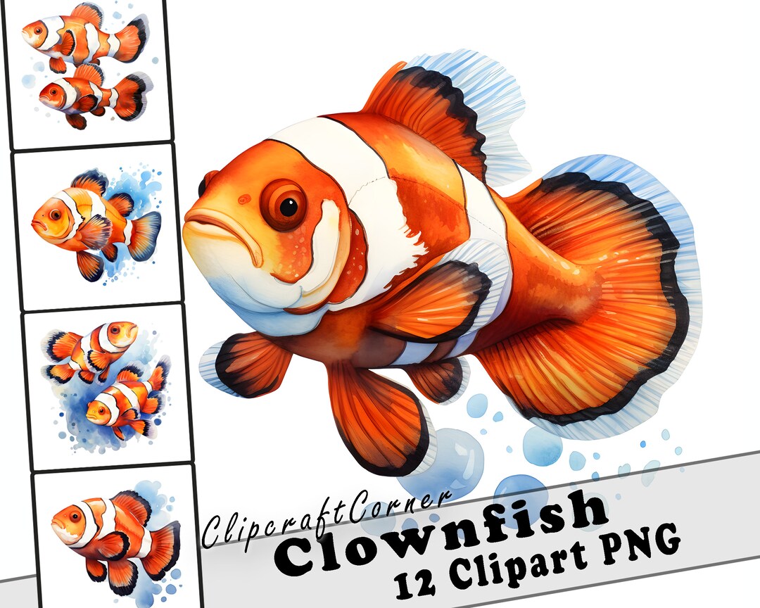 12 Clownfish Clipart PNG Bundle | Watercolor Sea Animals Clipart PNG ...