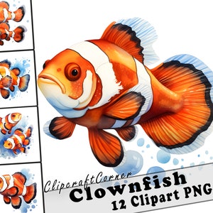 12 Clownfish Clipart PNG Bundle | Watercolor Sea Animals Clipart PNG ...