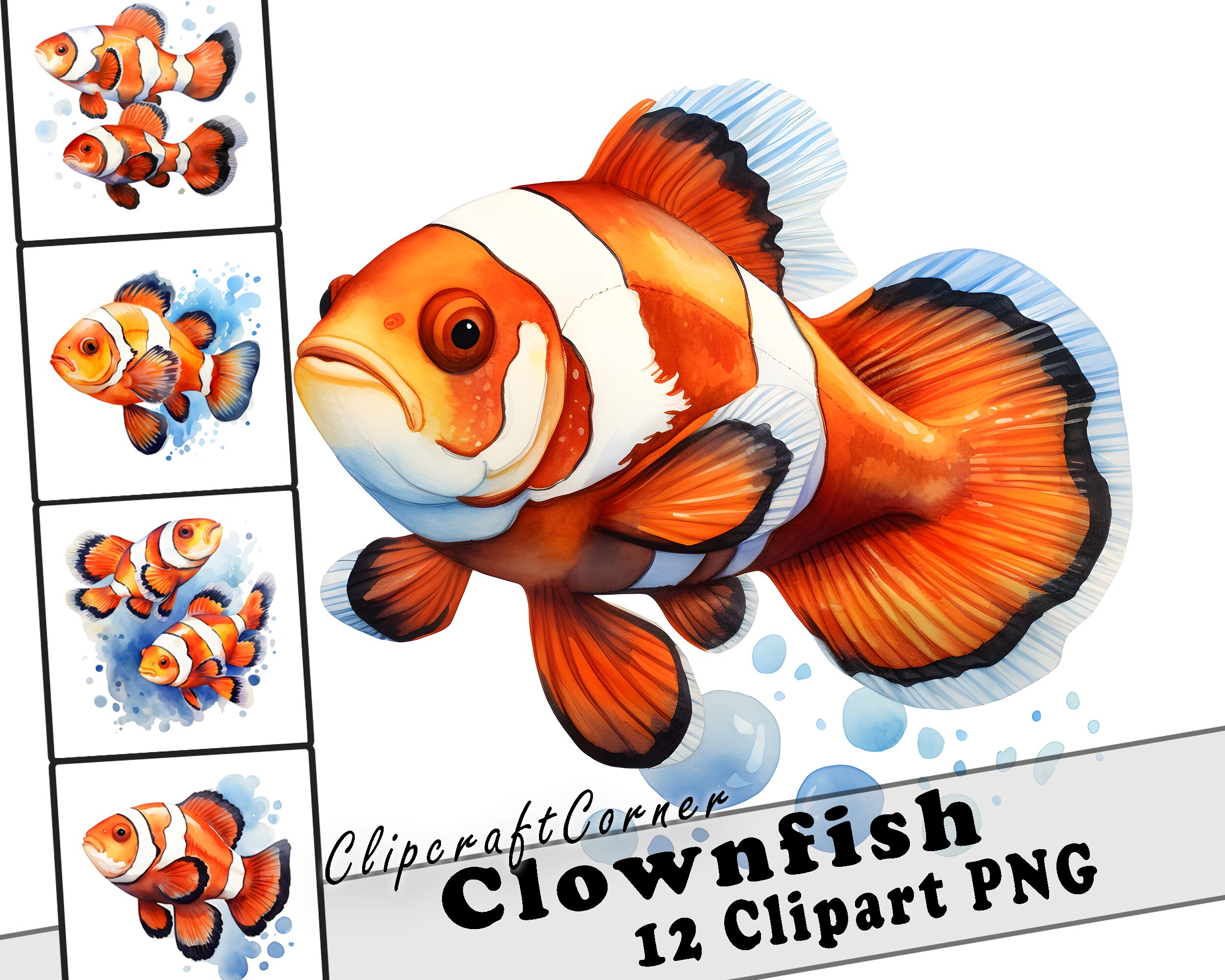 12 Clownfish Clipart PNG Bundle | Watercolor Sea Animals Clipart PNG ...