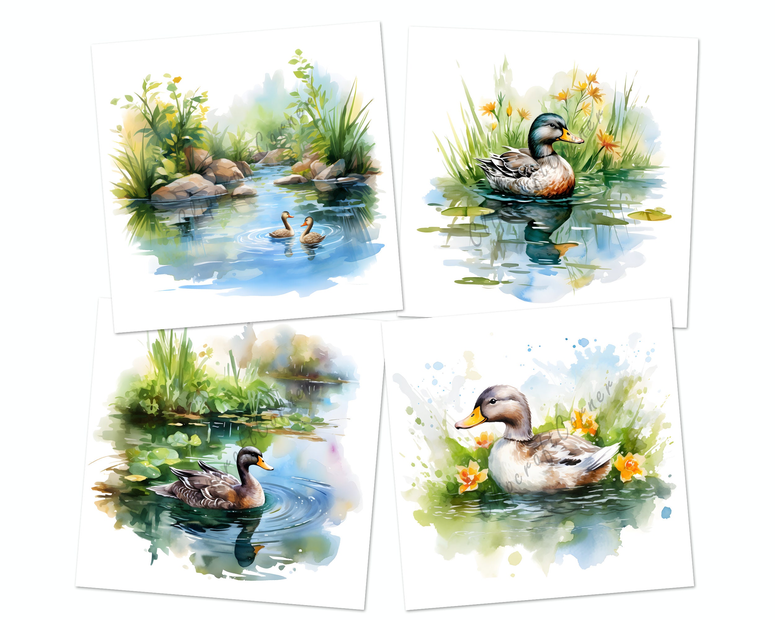 12 Duck Pond Clipart PNG Bundle | Watercolor Duck Pond Clipart PNG ...