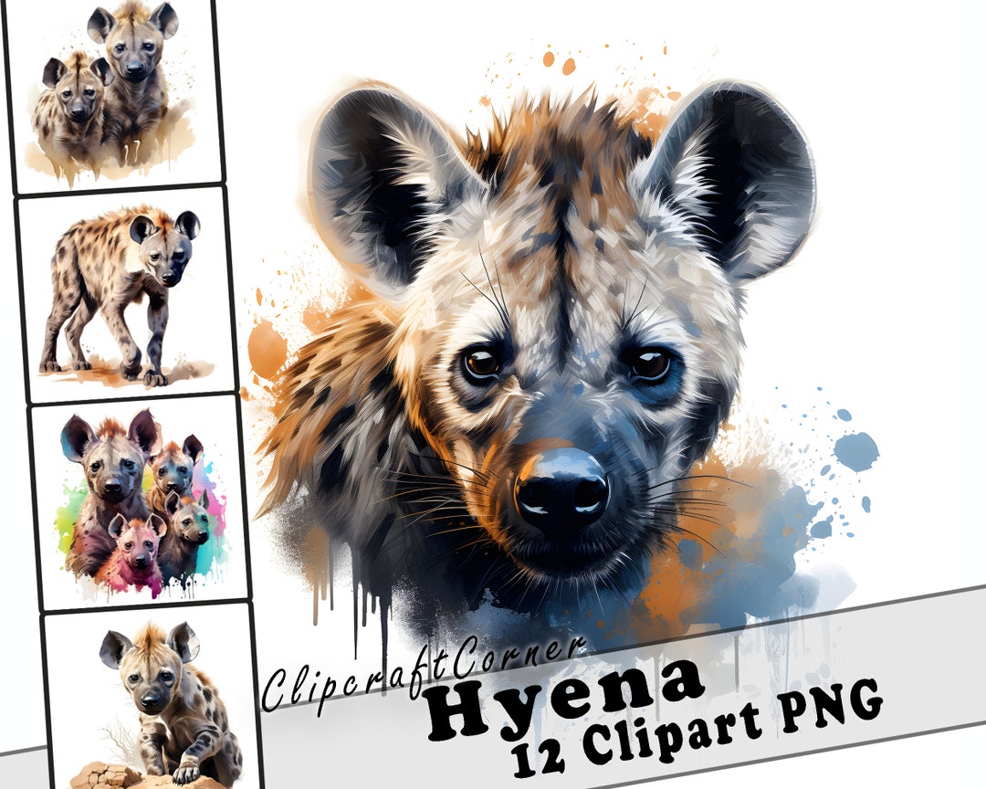 12 Hyena Clipart PNG Savannah Animal Bundle | Watercolor Hyena Clipart ...