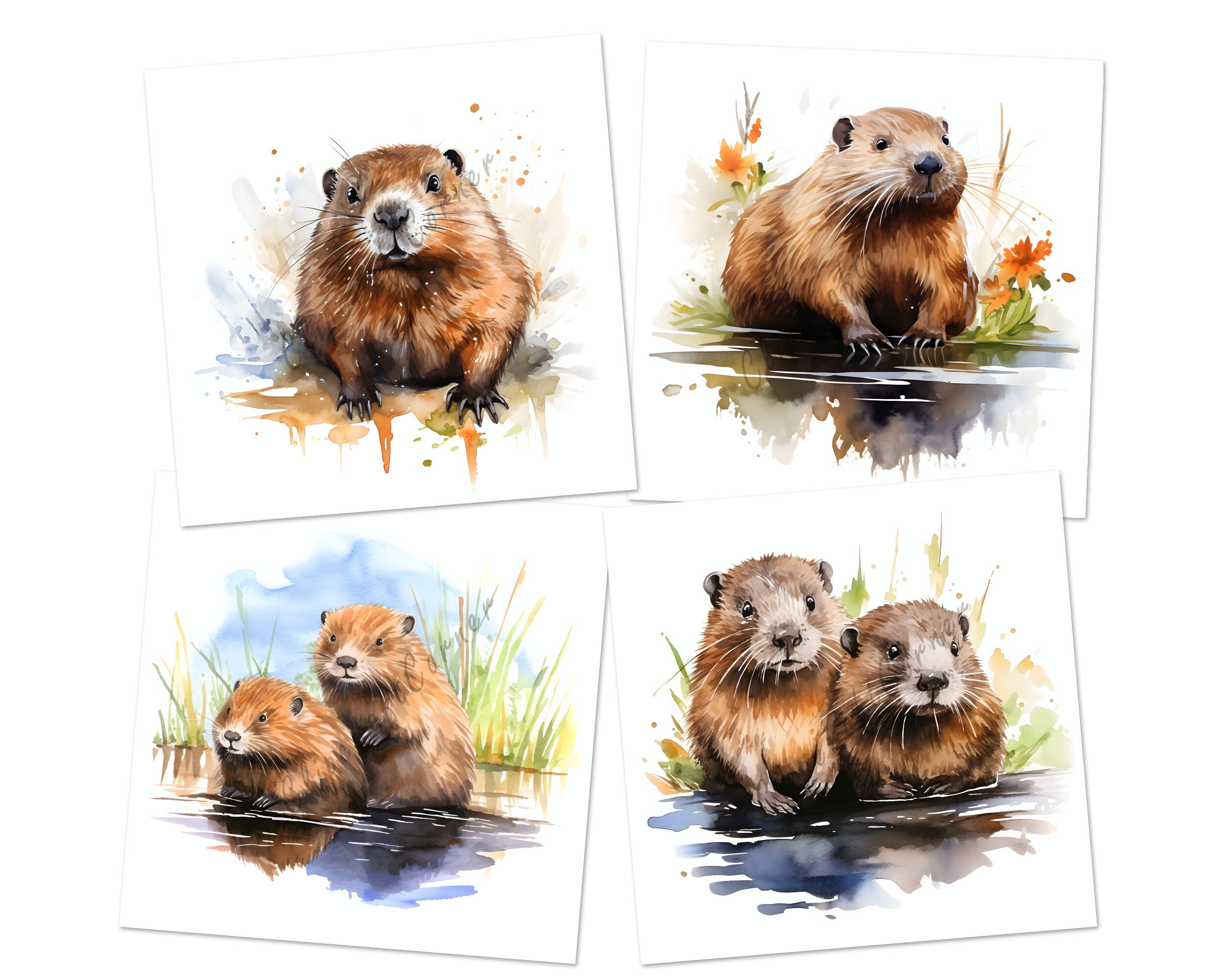 12 Beaver Clipart PNG Forest Animal Bundle | Watercolor Beaver Clipart ...