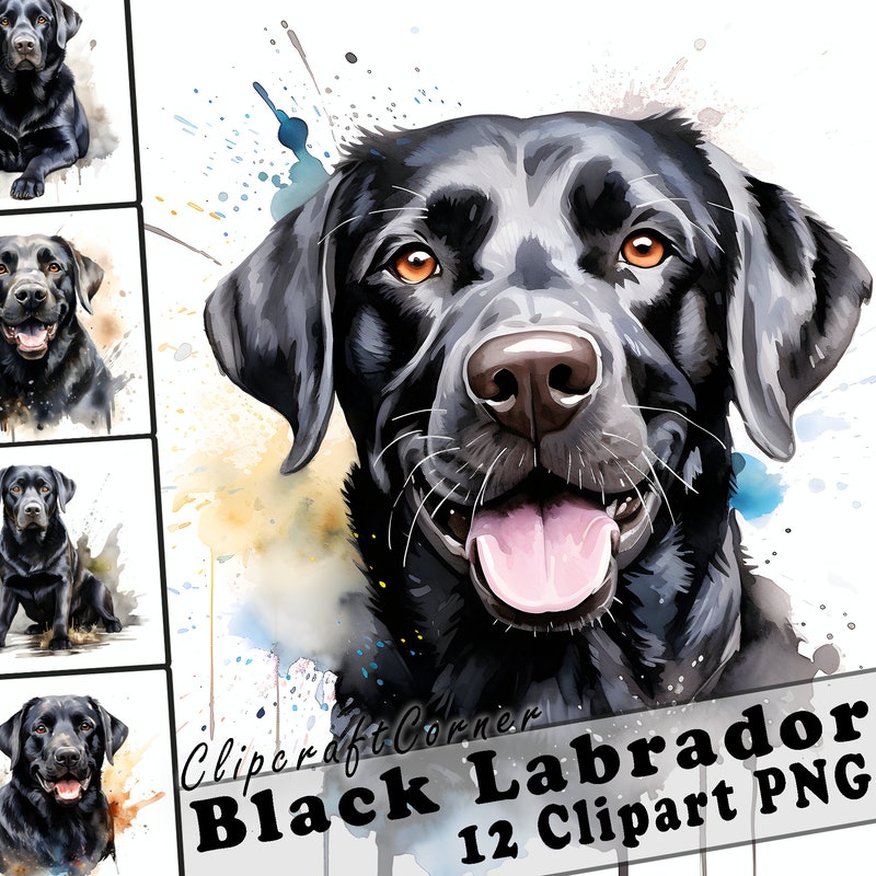 Black Dog Art - Etsy