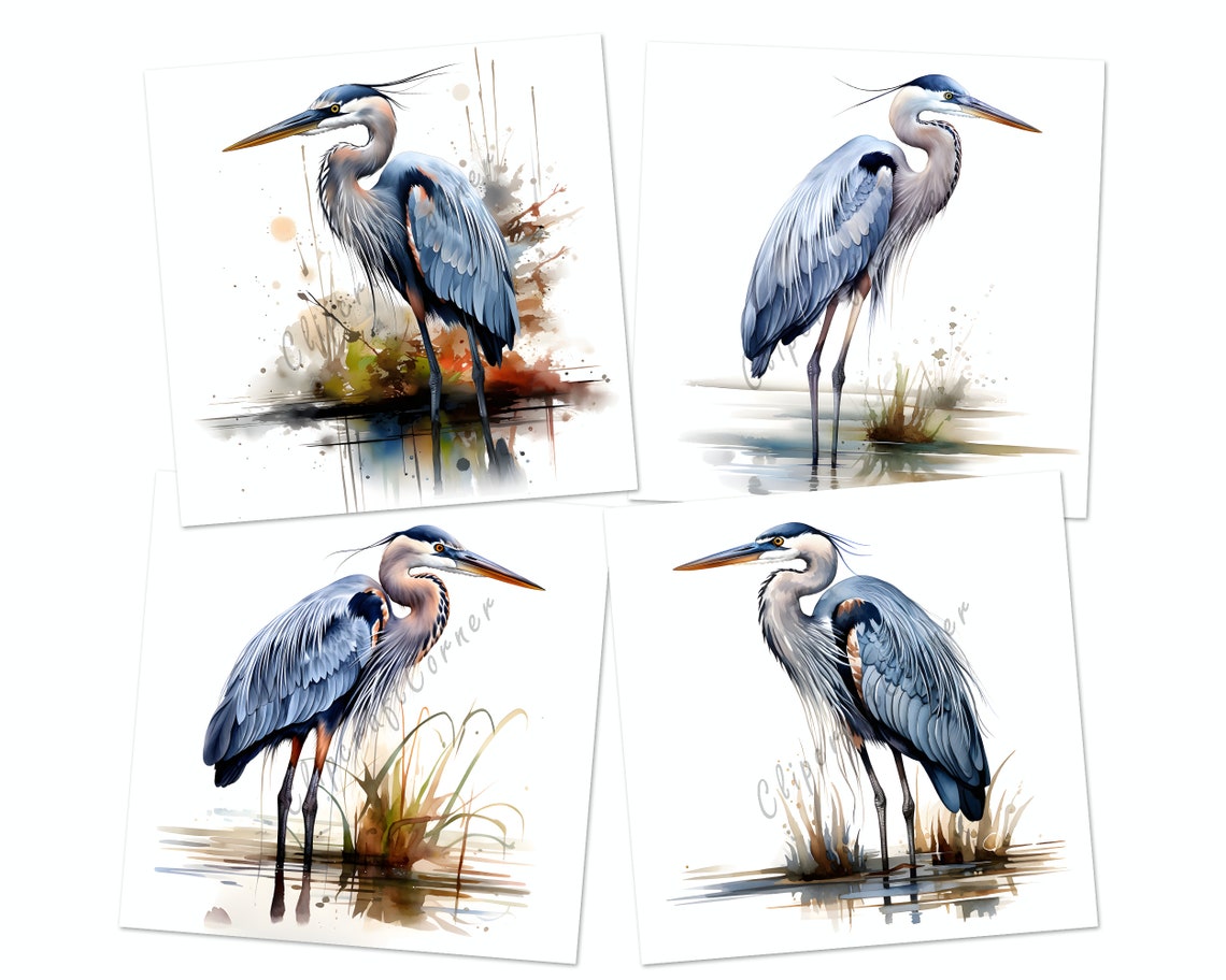 12 Great Blue Heron Clipart PNG Art Bundle | Watercolor Bird Clipart ...