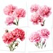 12 Pink Carnation Clipart PNG Art Bundle | Watercolor Flower Clipart ...