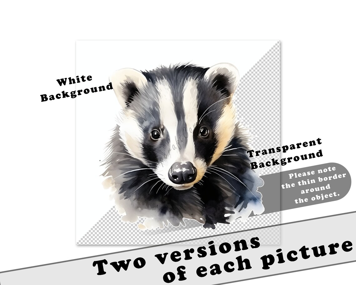 12 Badger Clipart PNG Forest Animal Bundle | Watercolor Badger Clipart ...