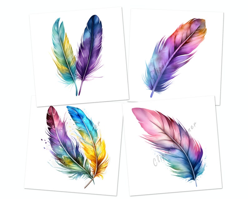 12 Tropical Bird Feather Clipart PNG Bundle Tropical Watercolor Clipart PNG Summer Clipart PNG ...