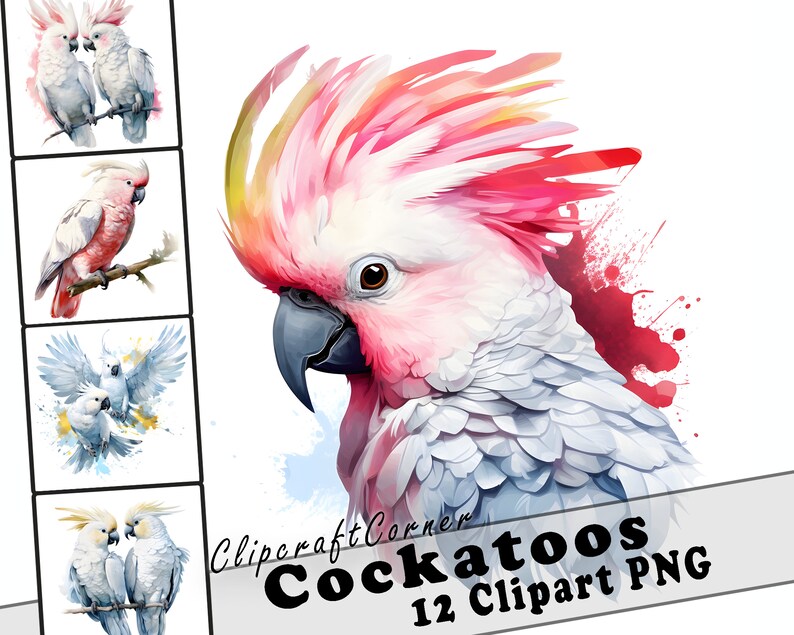12 Cockatoo Clipart PNG Bundle | Tropical Bird Watercolor Clipart PNG | Summer Clipart PNG ...