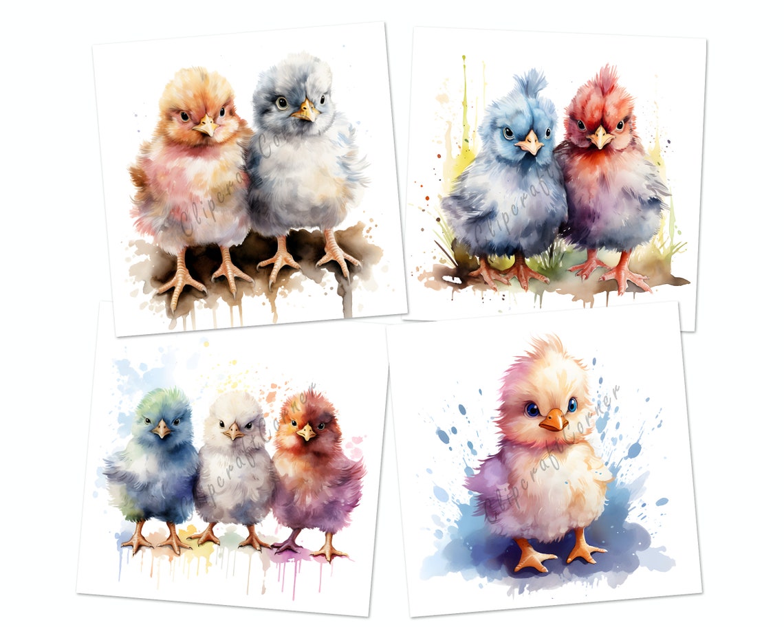 12 Chicks Clipart PNG Bundle | Watercolor Chicken Clipart PNG | Farm ...