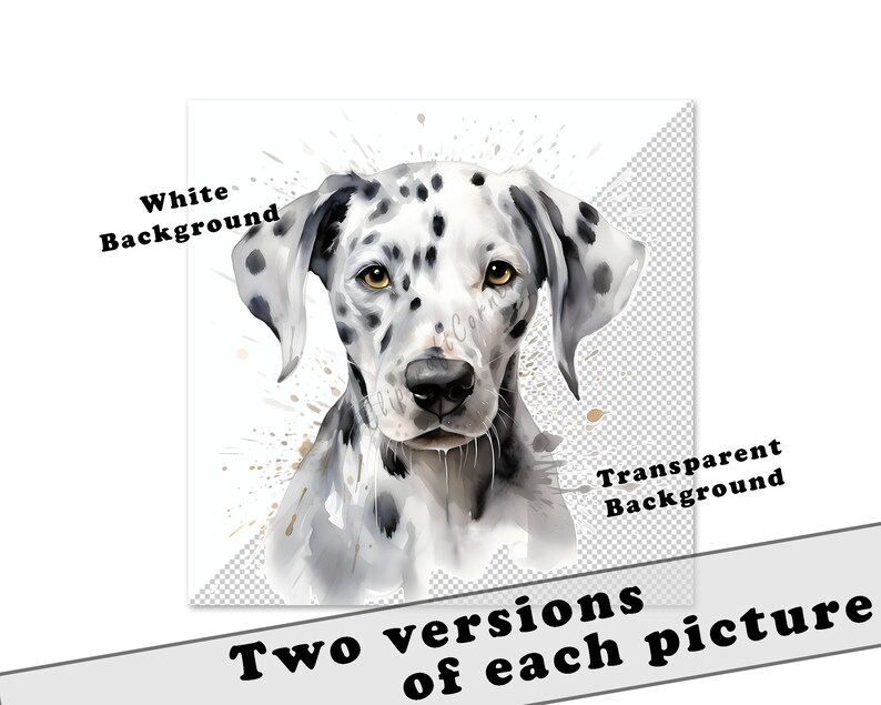 12 Dalmatian Clipart PNG Bundle Watercolor Dog Clipart PNG - Etsy