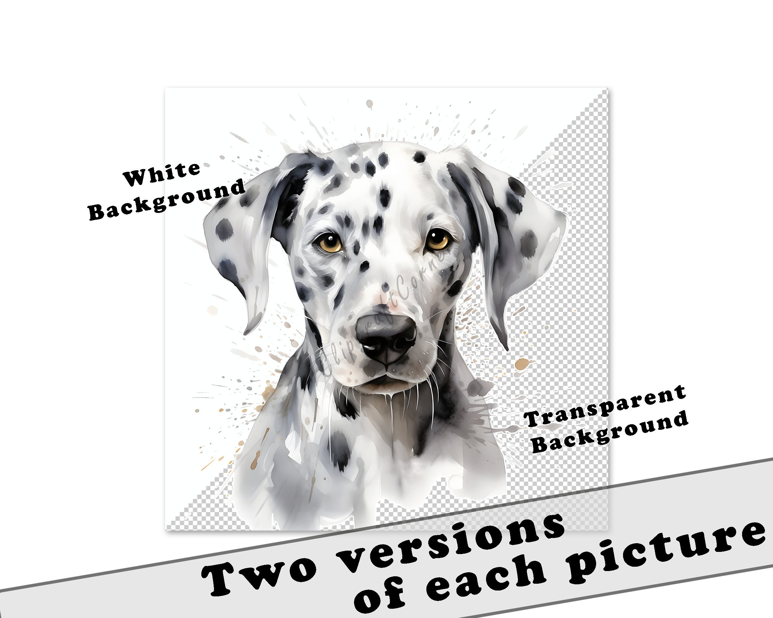 12 Dalmatian Clipart PNG Bundle Watercolor Dog Clipart PNG - Etsy
