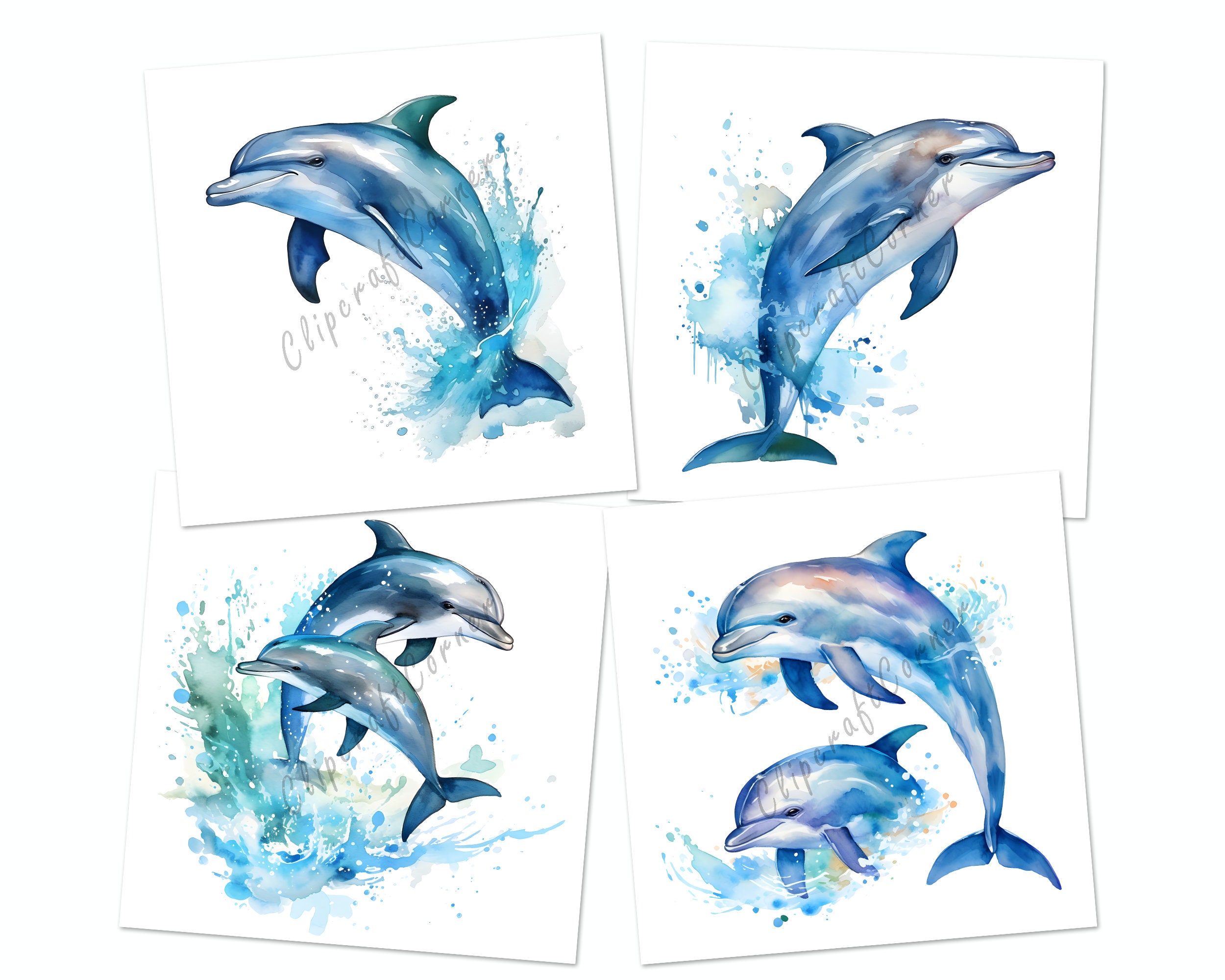 12 Dolphin Clipart PNG Bundle Watercolor Sea Animals Clipart PNG Ocean ...