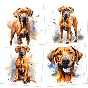 11 Rhodesian Ridgeback Clipart PNG Bundle | Watercolor Dog Clipart PNG ...
