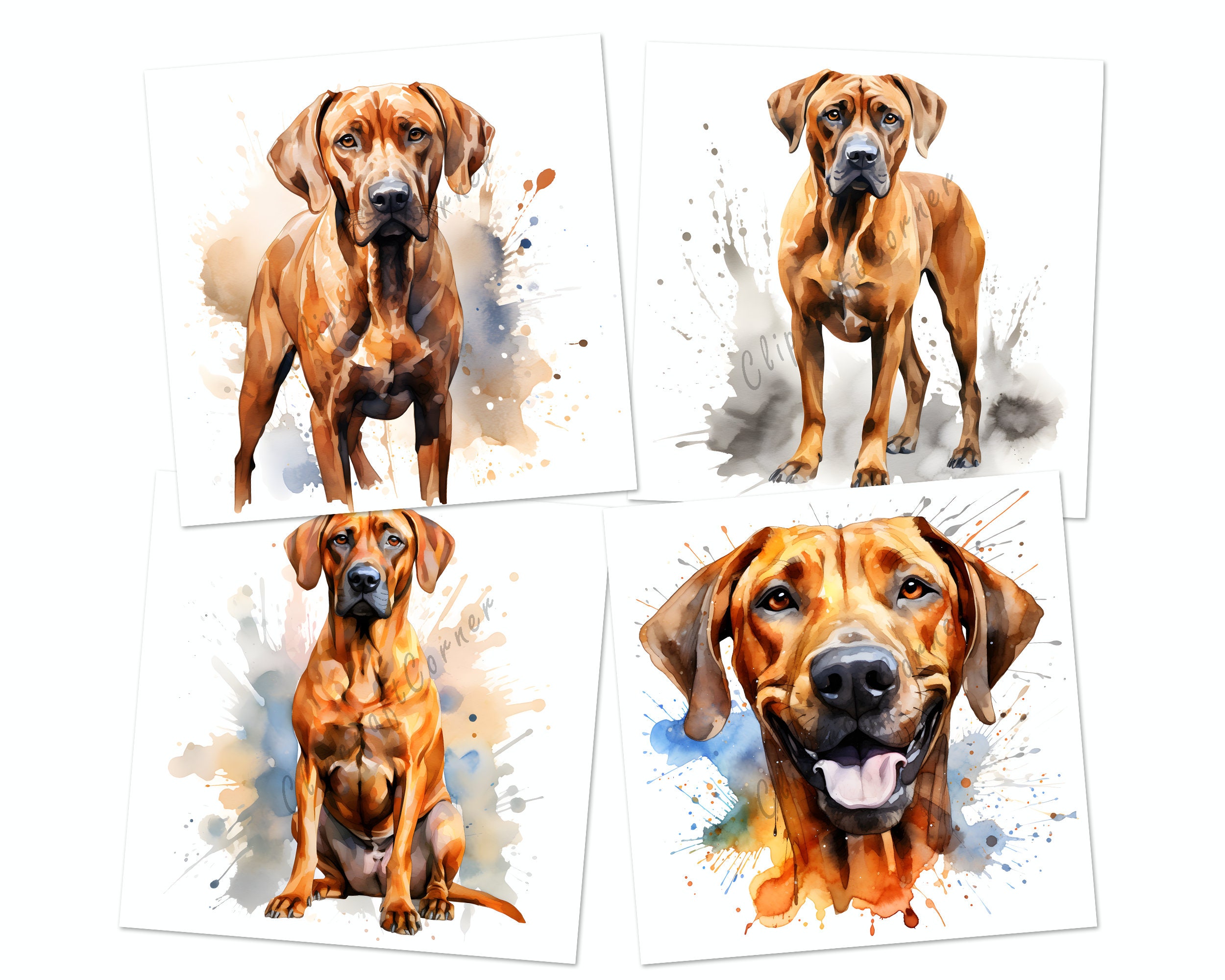 11 Rhodesian Ridgeback Clipart PNG Bundle | Watercolor Dog Clipart PNG ...