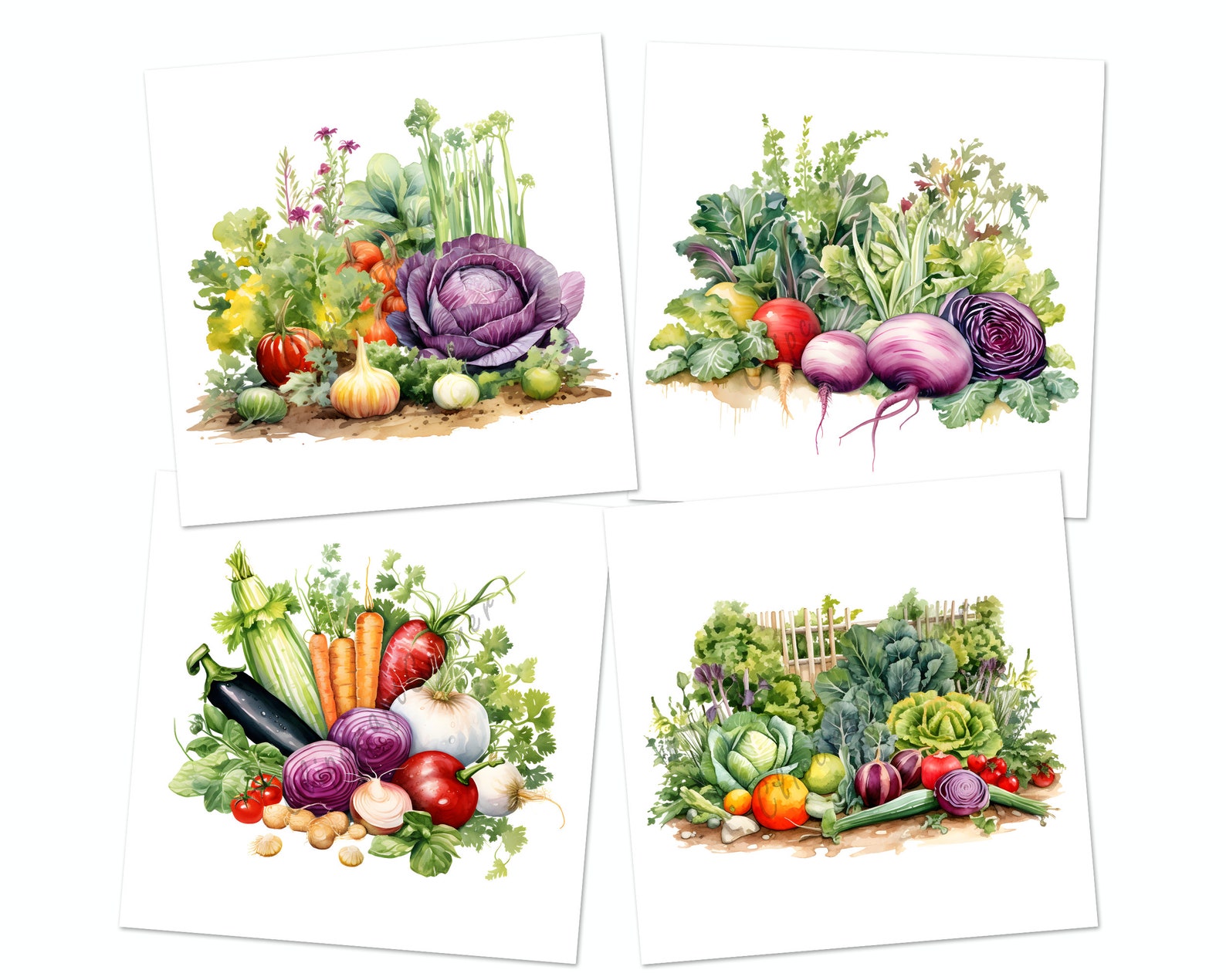 12 Vegetables Clipart PNG Bundle | Watercolor Vegetable Clipart PNG ...