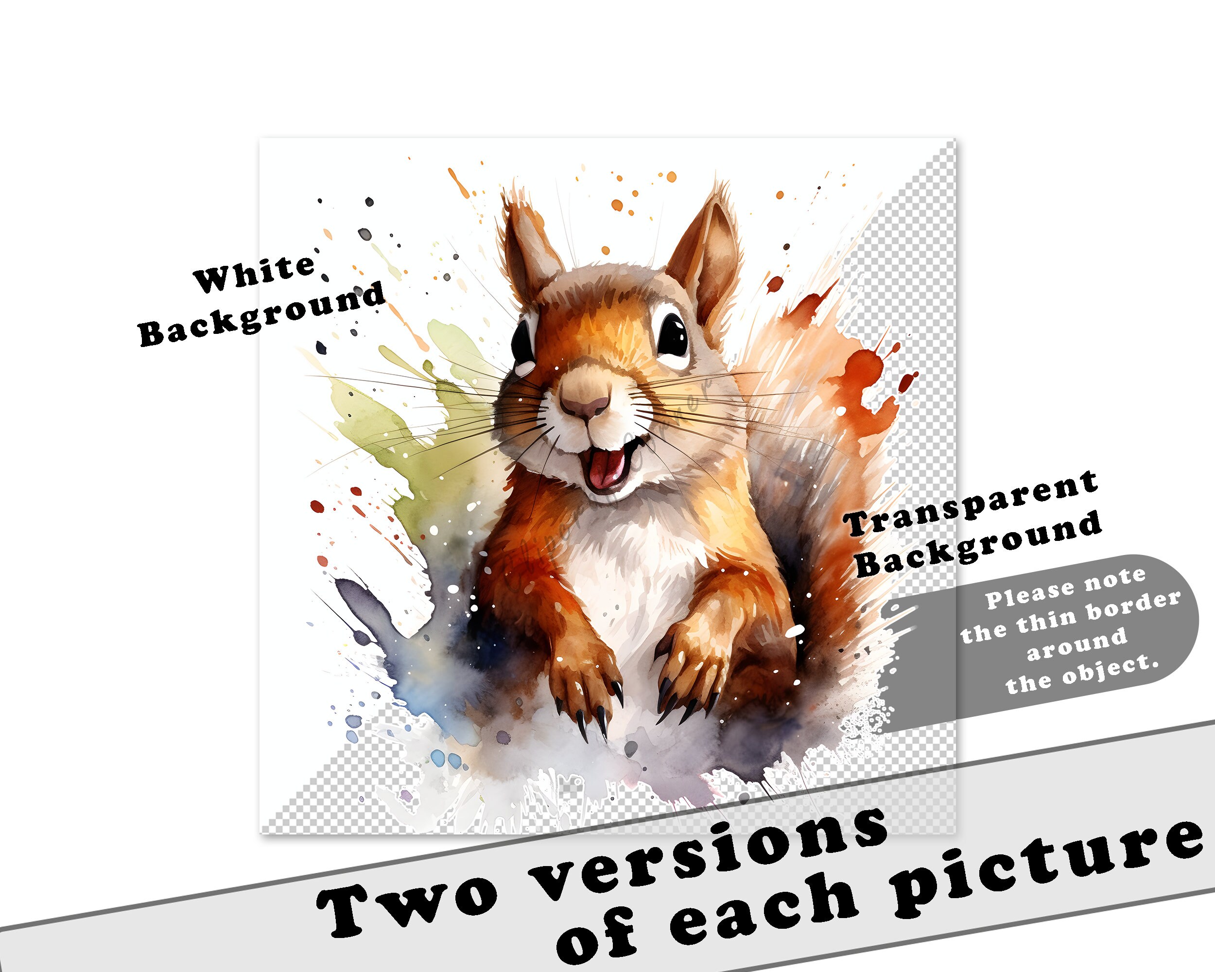 12 Happy Squirrel Clipart PNG Forest Animal Bundle | Watercolor ...