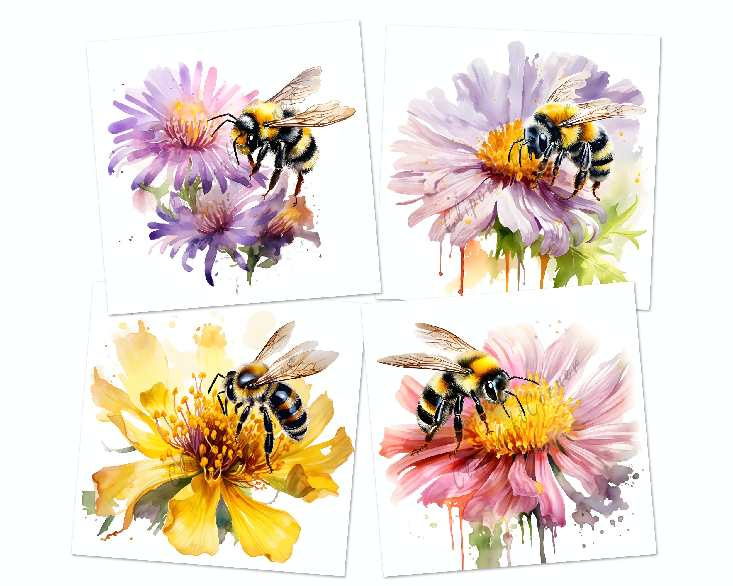 12 Bumblebee in Flower Clipart PNG Forest Animal Bundle Watercolor ...