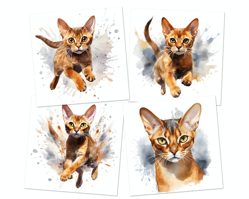 12 Abyssinian Cat Clipart PNG Bundle | Cute Watercolor Cat Clipart PNG ...