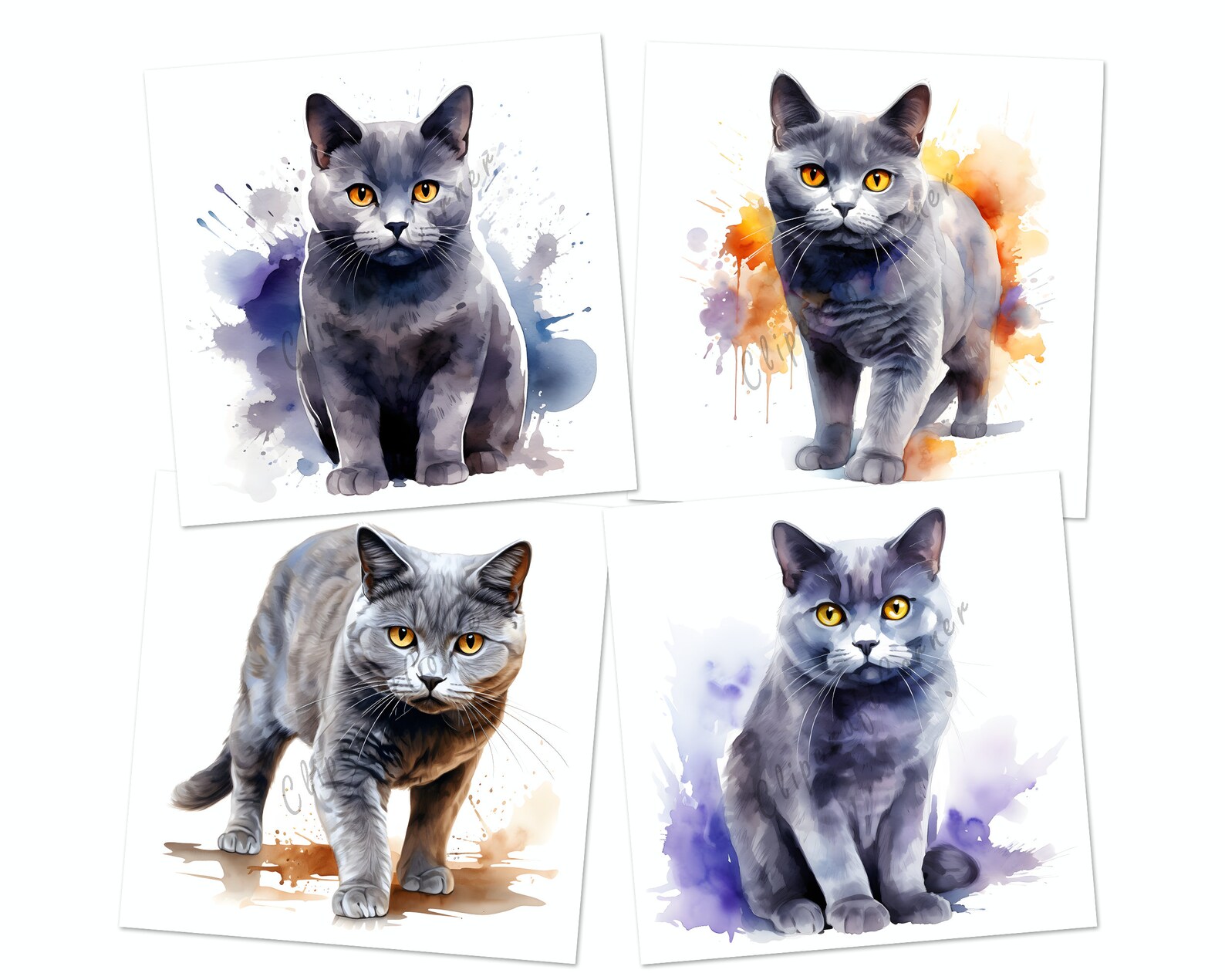 12 Chartreux Cat Clipart PNG Bundle Cute Watercolor Cat Clipart PNG 524 ...