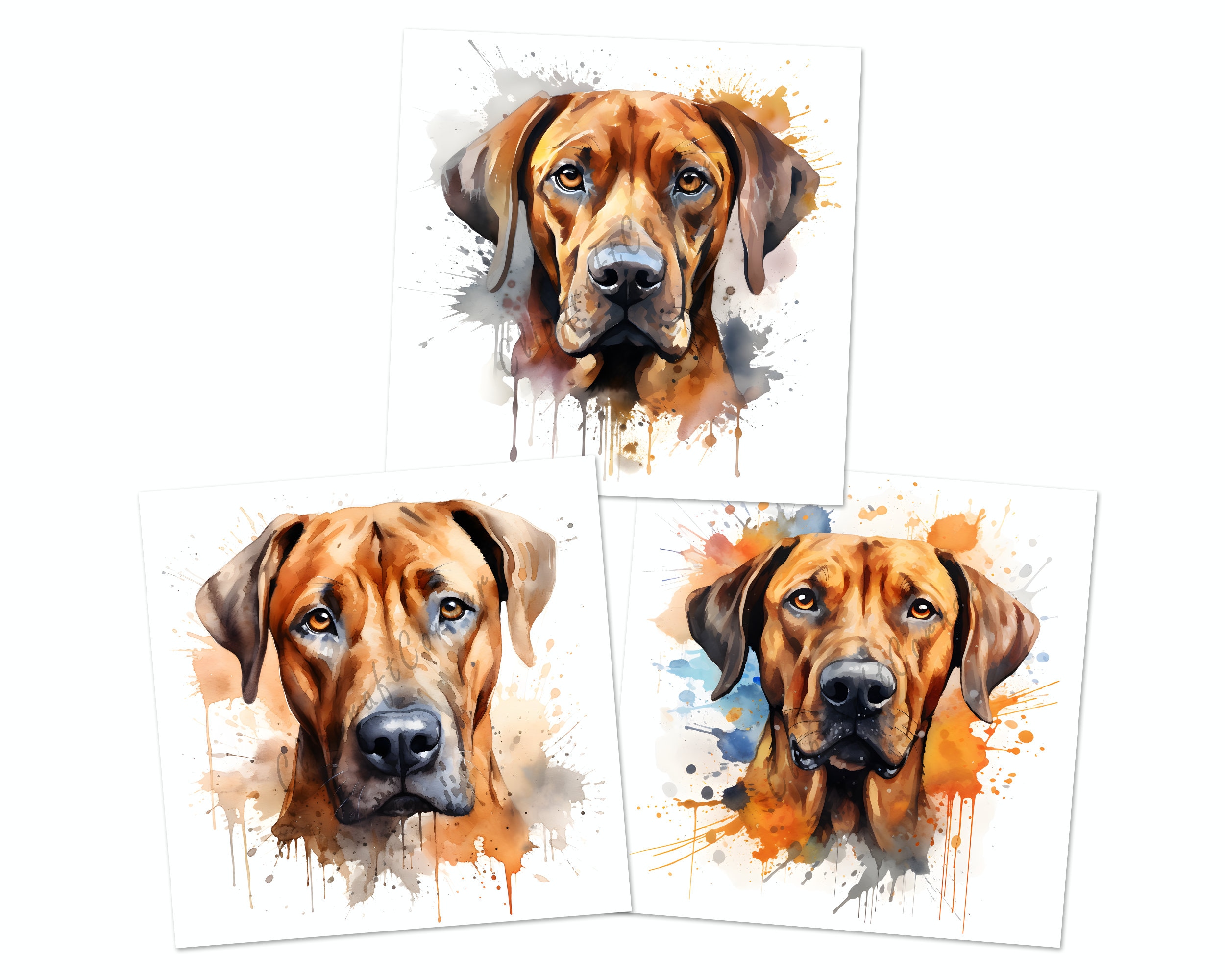 11 Rhodesian Ridgeback Clipart PNG Bundle Watercolor Dog - Etsy