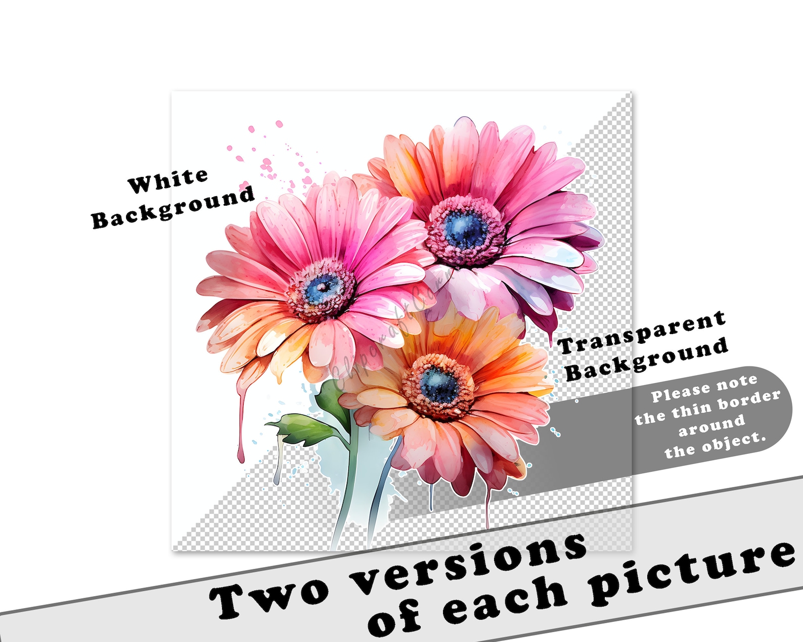 12 Gerbera Daisy Clipart PNG Art Bundle | Watercolor Flower Clipart PNG ...