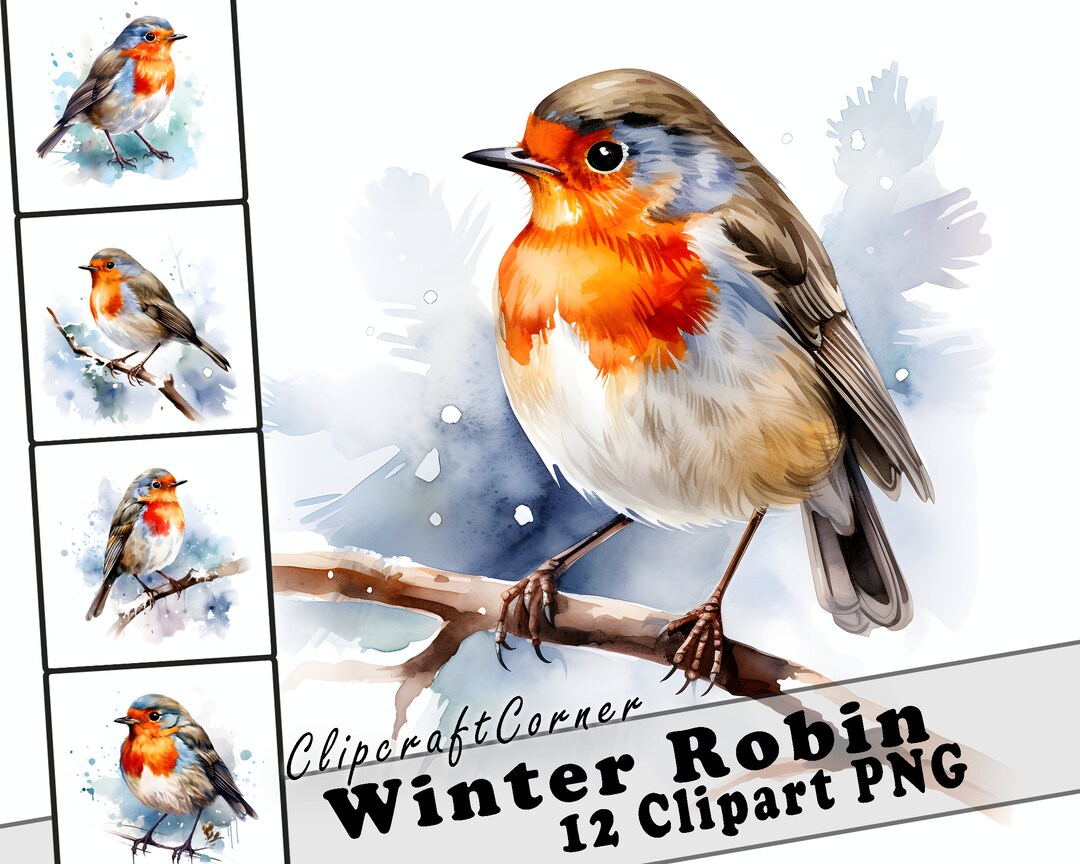 12 Winter Robin Clipart PNG Art Bundle | Watercolor Bird Clipart PNG ...