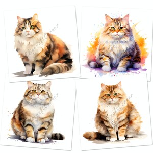 20 Fat Cats Clipart PNG Bundle | Cute Watercolor Fat Cat Clipart PNG ...