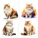 20 Fat Cats Clipart PNG Bundle | Cute Watercolor Fat Cat Clipart PNG ...