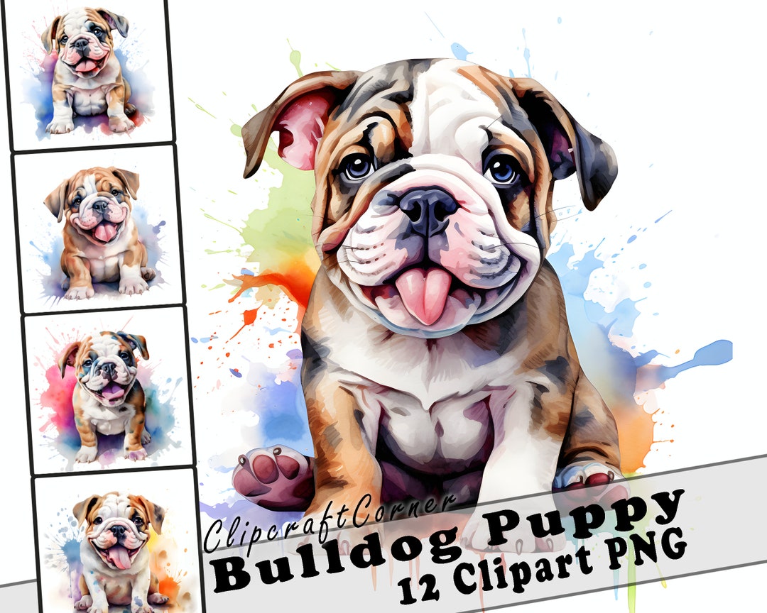 12 Puppy Bulldog Clipart PNG Bundle | Watercolor Puppy Dog Clipart PNG ...