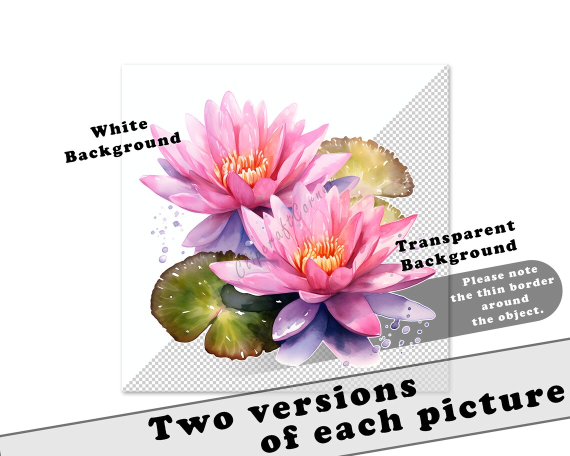 12 Pink Water Lily Clipart PNG Art Bundle | Watercolor Flower Clipart ...