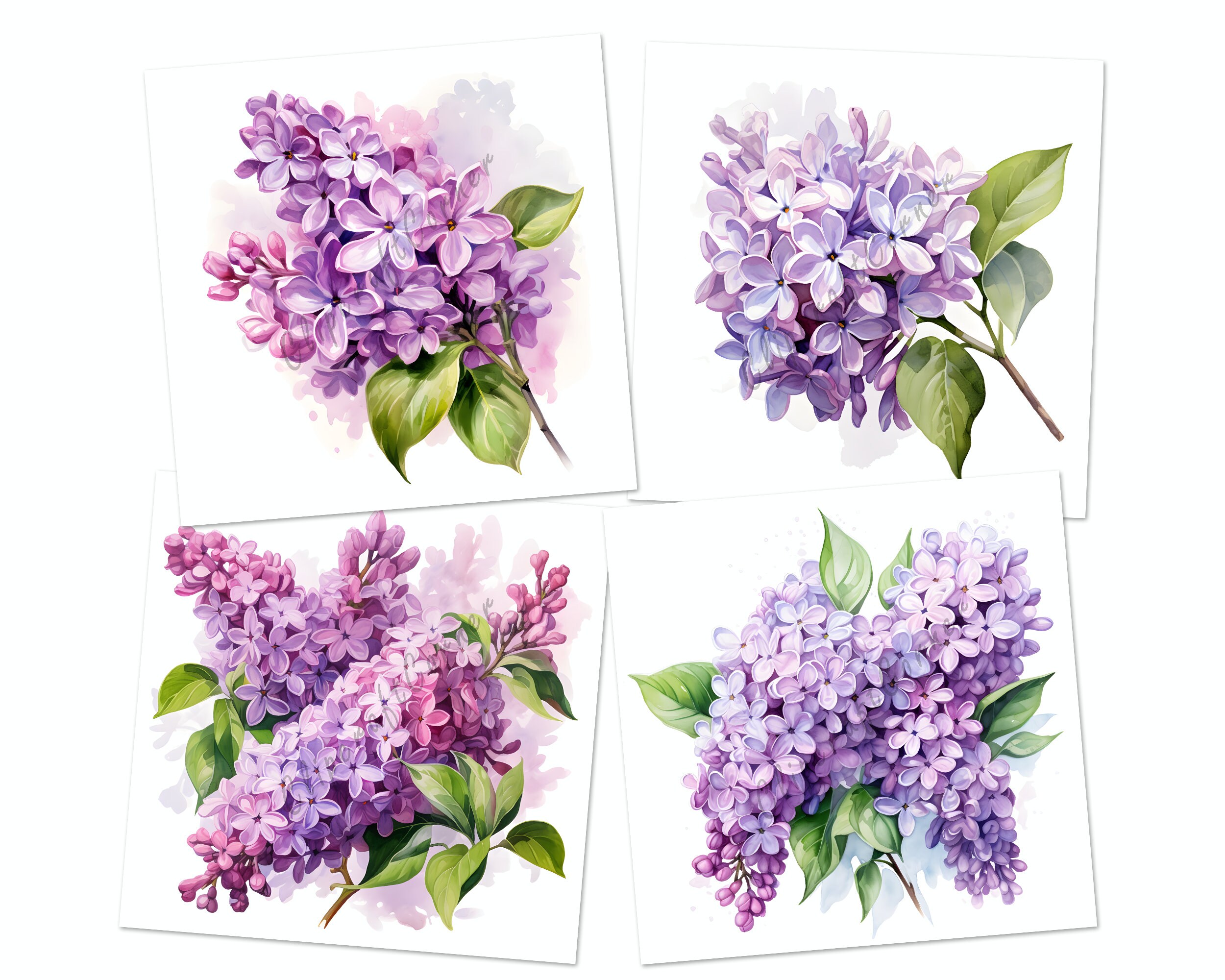 12 Lilac Clipart PNG Art Bundle | Watercolor Flower Clipart PNG Artwork ...