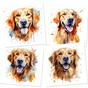 13 Golden Retriever Clipart PNG Bundle | Watercolor Dog PNG Clipart | 9 ...