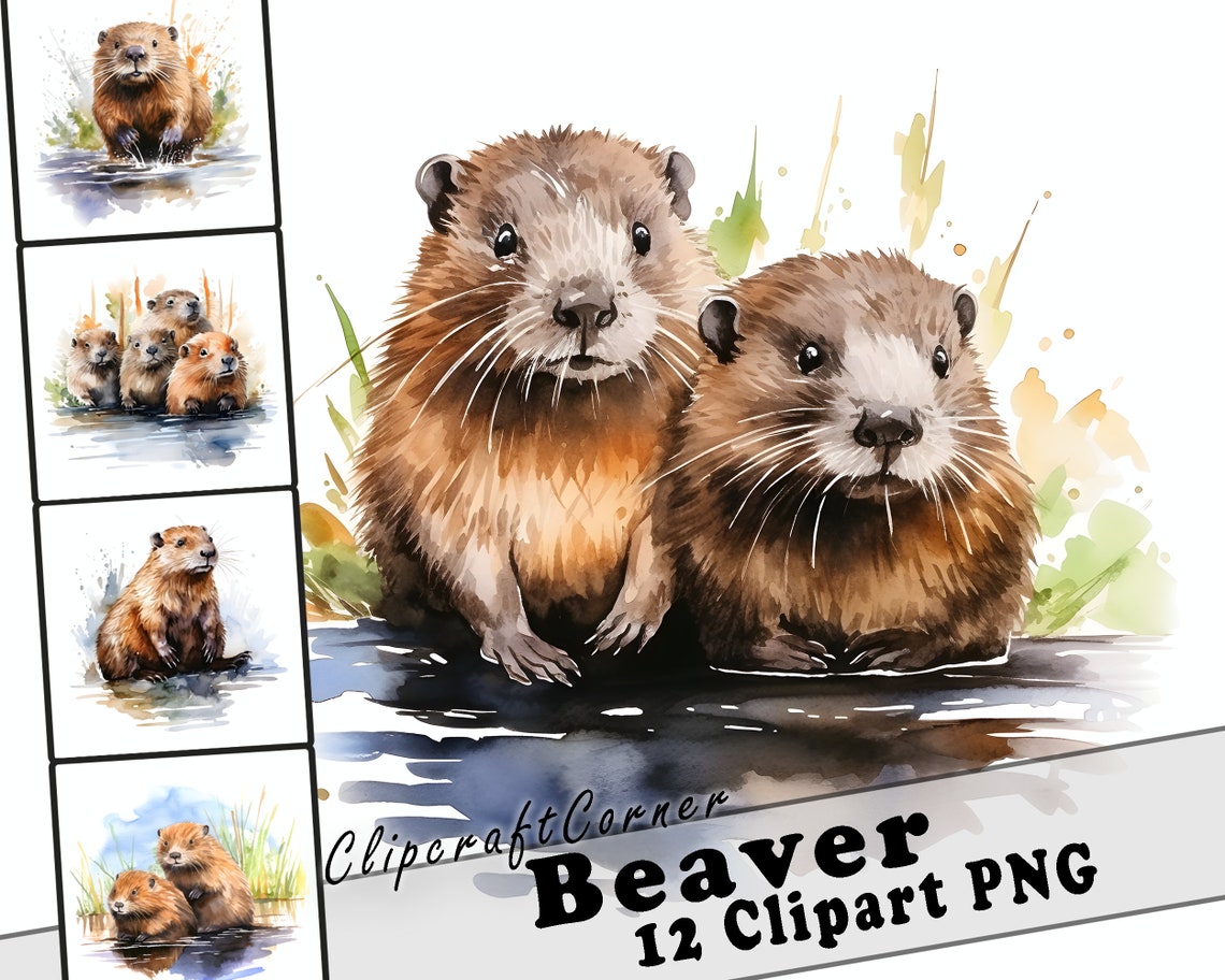 12 Beaver Clipart PNG Forest Animal Bundle | Watercolor Beaver Clipart ...