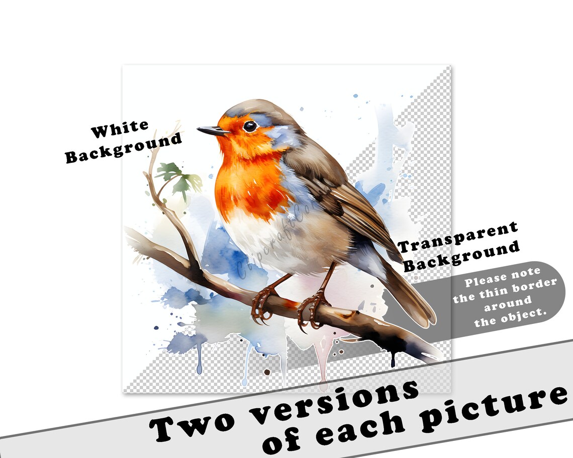 12 Robin Clipart PNG Art Bundle Watercolor Bird Clipart PNG Artwork ...