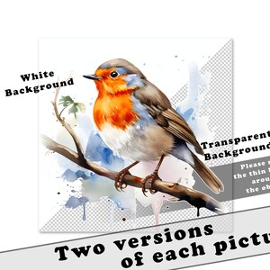 12 Robin Clipart PNG Art Bundle | Watercolor Bird Clipart PNG Artwork ...