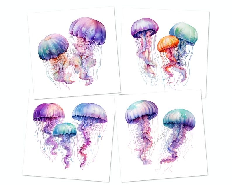 12 Jellyfish Clipart PNG Bundle Watercolor Sea Animals Clipart PNG ...