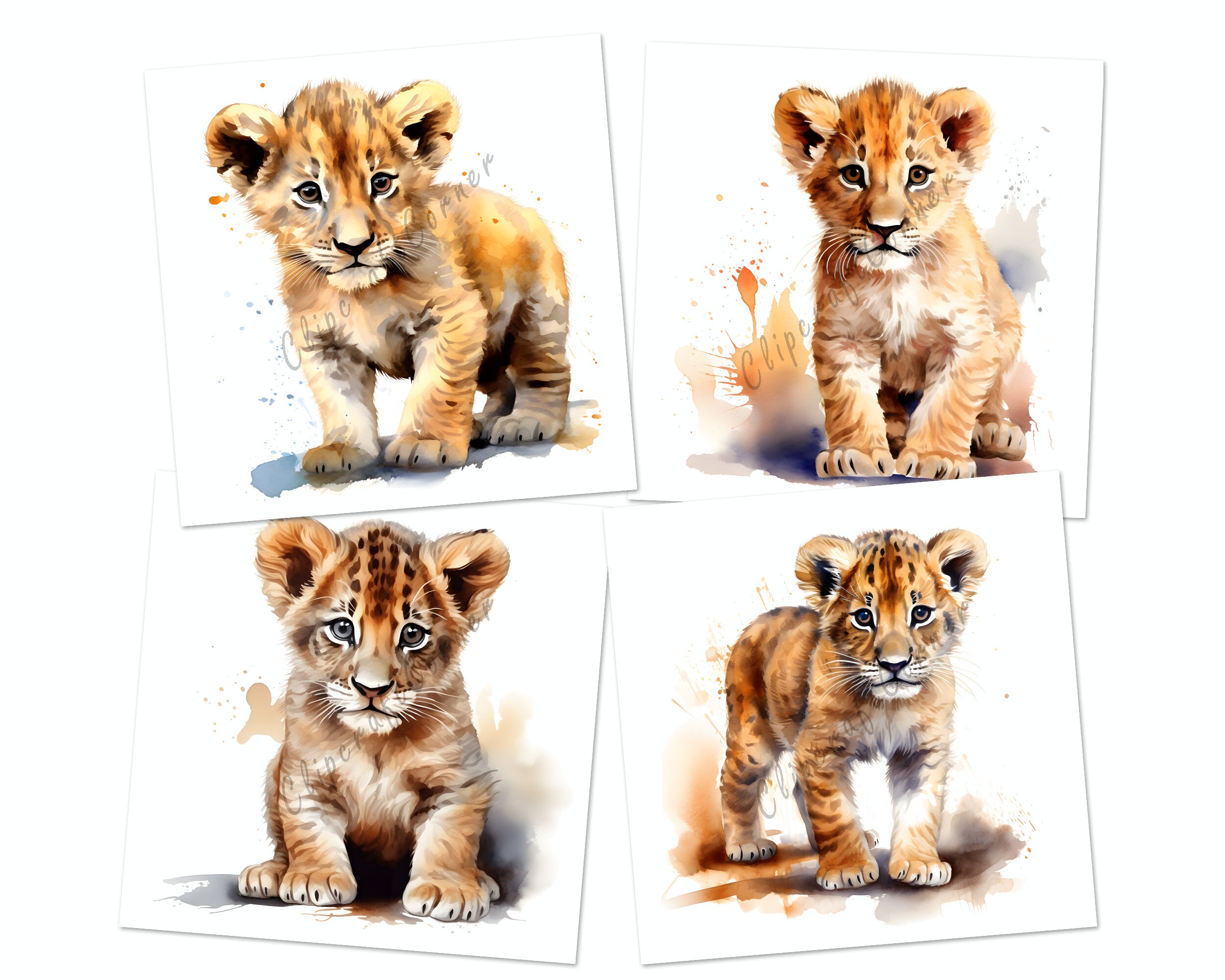 12 Baby Lion Clipart PNG Savannah Animal Bundle | Watercolor Lion Cub ...