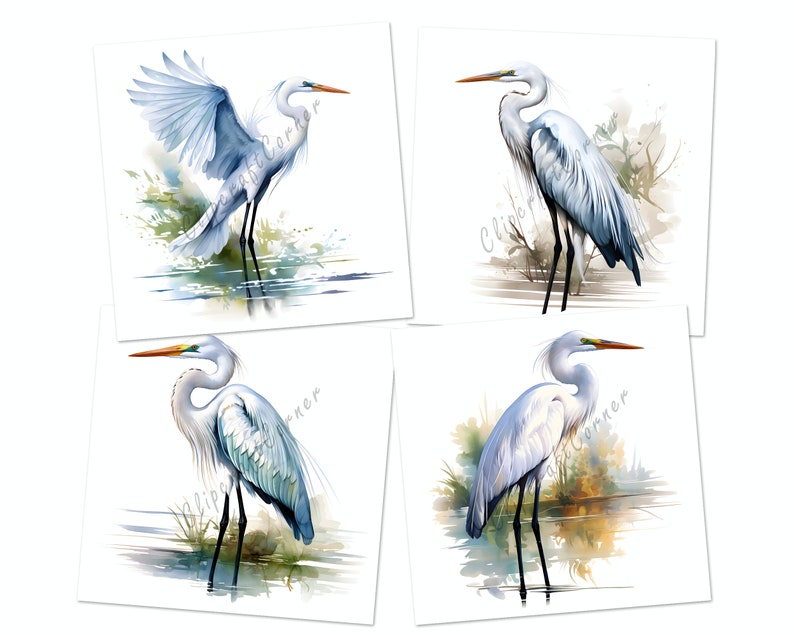 12 Great Egret Clipart PNG Art Bundle | Watercolor Bird Clipart PNG ...