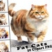 20 Fat Cats Clipart PNG Bundle | Cute Watercolor Fat Cat Clipart PNG ...