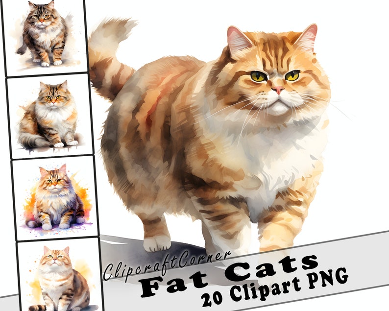 20 Fat Cats Clipart PNG Bundle | Cute Watercolor Fat Cat Clipart PNG ...