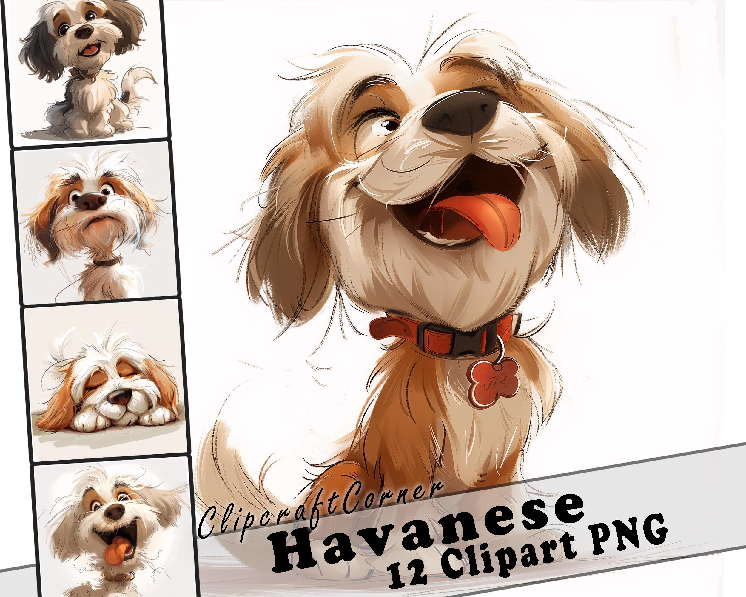 12 Havanese Clipart PNG Funny Dog Bundle | Watercolor Dog Cartoon ...