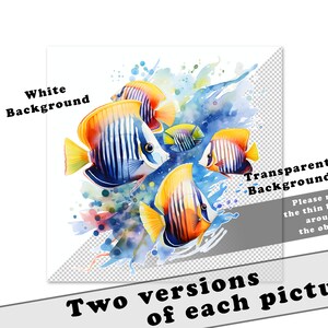 12 Tropical Fish Clipart PNG Bundle | Tropical Watercolor Clipart PNG ...