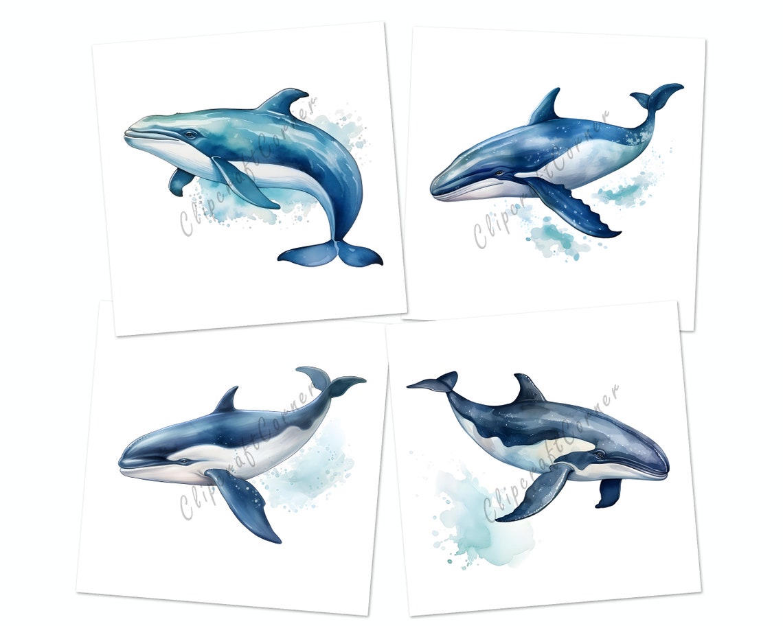 12 Whale Clipart PNG Bundle Watercolor Sea Animals Clipart PNG Ocean ...