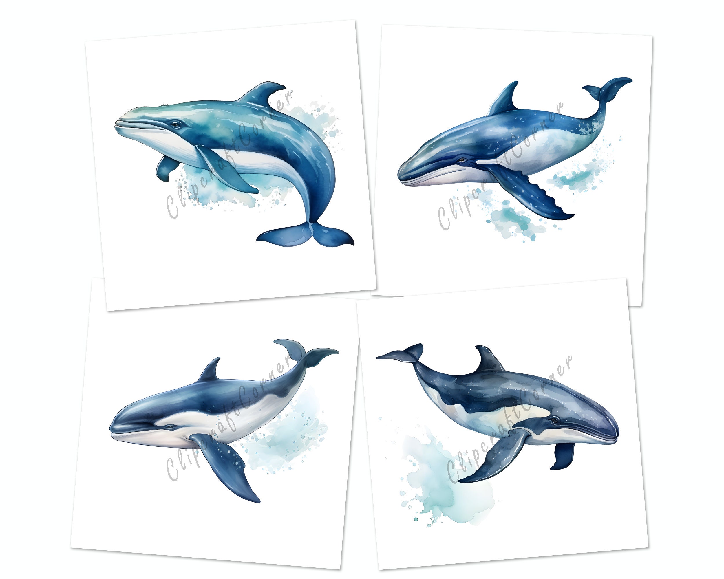 12 Whale Clipart PNG Bundle Watercolor Sea Animals Clipart PNG Ocean ...