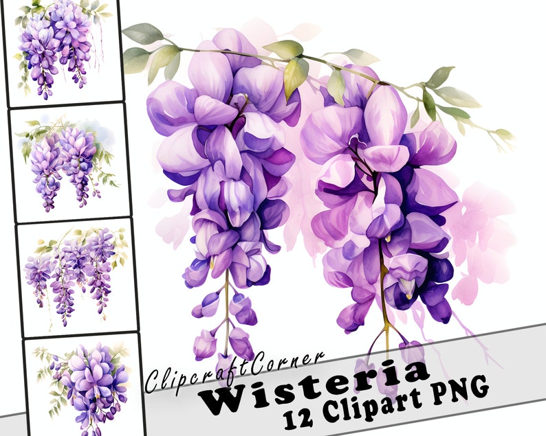 12 Wisteria Clipart PNG Art Bundle | Watercolor Flower Clipart PNG ...